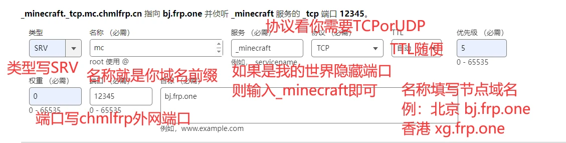 SRV解析教程 | ChmlFrp | 使用文档 - Docs